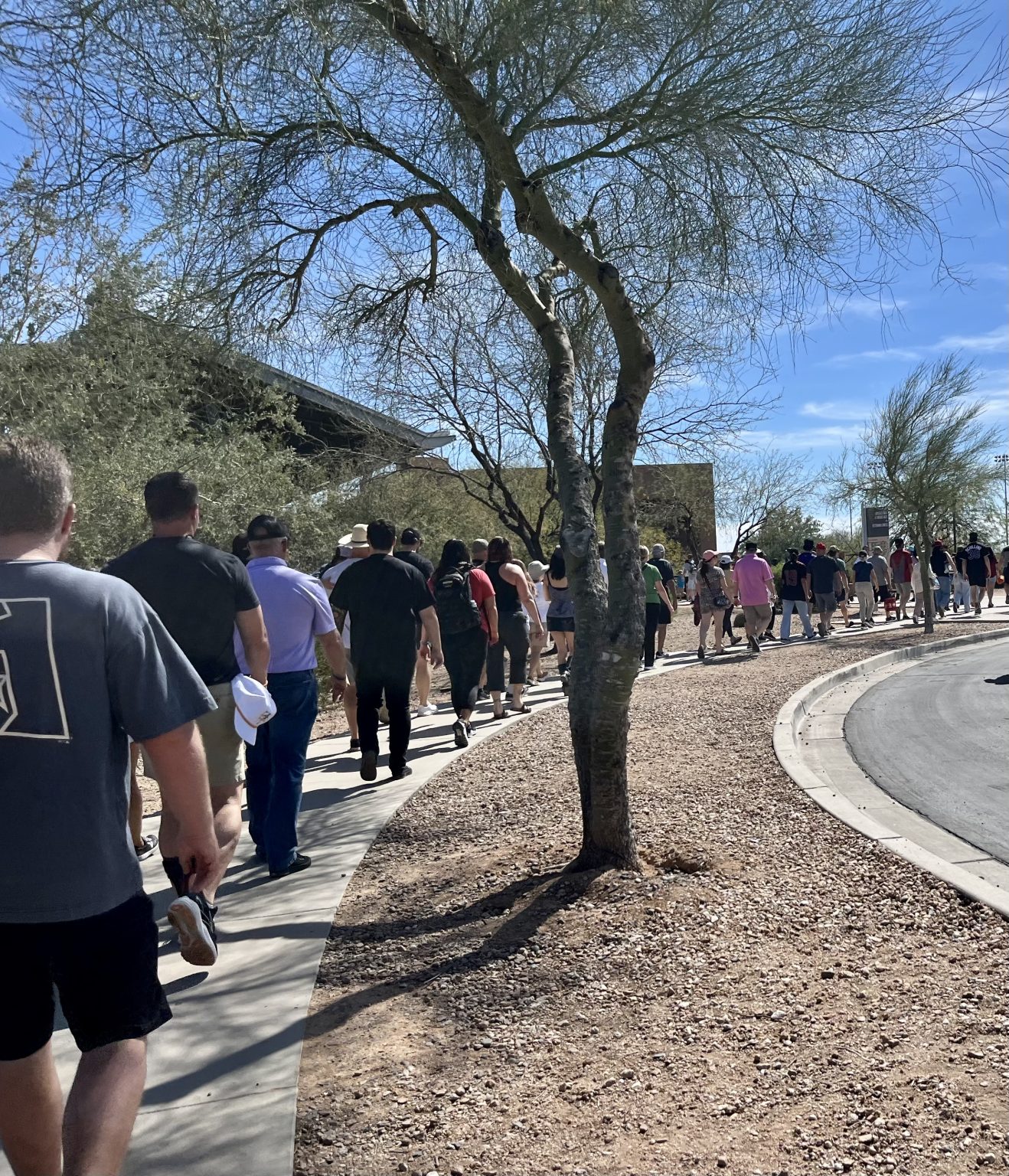 An Insider’s Guide to Arizona Spring Training at Salt River Fields ...